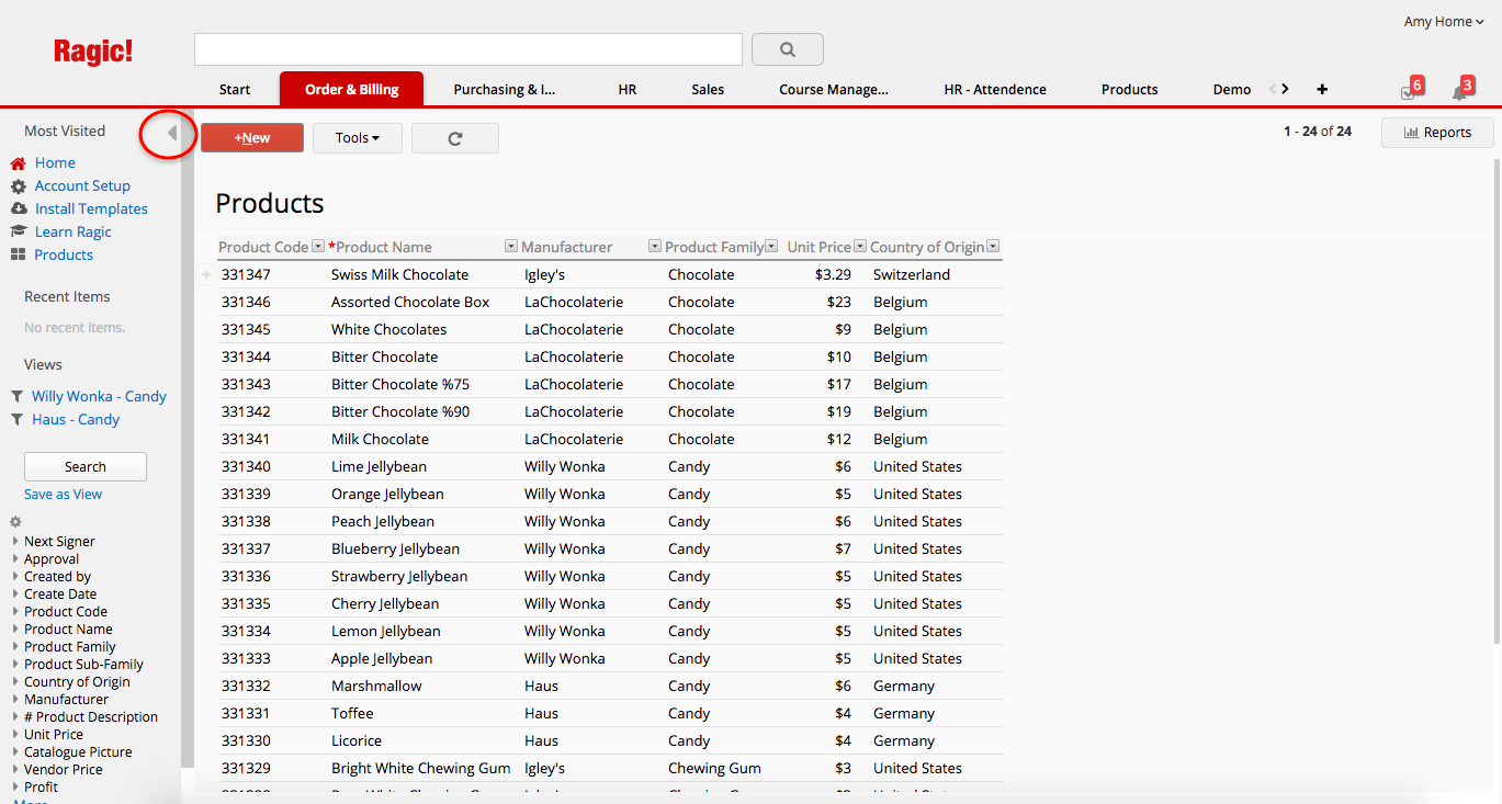Ragic database design document